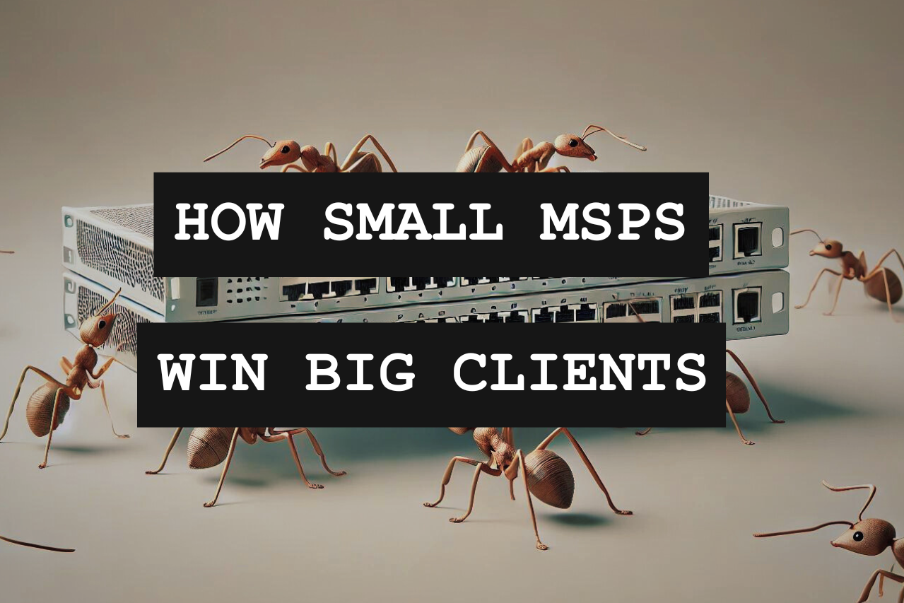 Punching Above Your Weight: How Small MSPs Can Win Big Clients | MSP ...